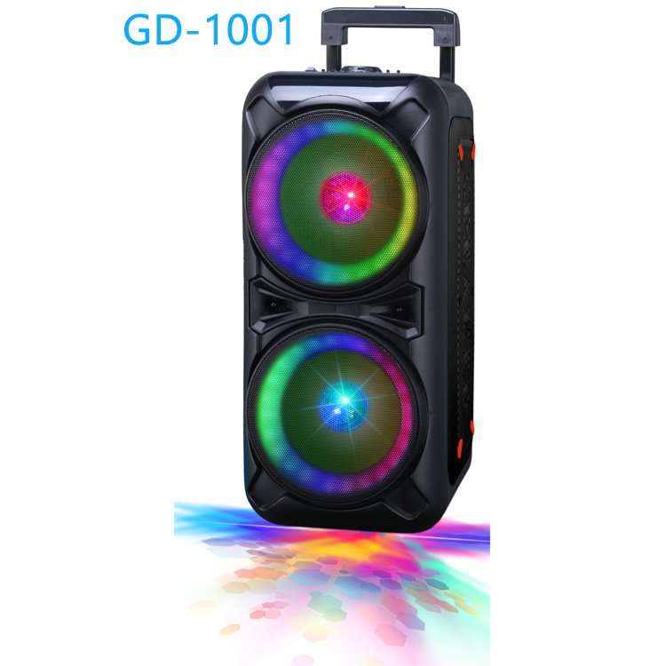 GEDI-G Double 10 inch Portable Battery Powered Amplifier GD-1001