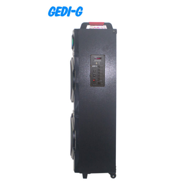 GEDI-G Double 12 inch Portable Battery Powered Amplifier with GD-2512