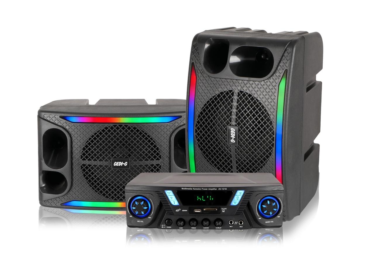 Get A Great Show With A Wireless Performer Vocal PA System!