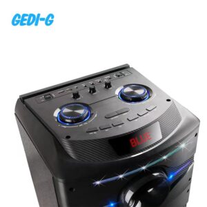 GEDI-G 12 INCH Bluetooth Speaker GD-121 - GEDI-G
