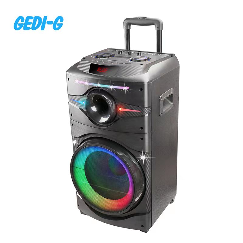 GEDI-G 12 INCH Bluetooth Speaker GD-121 - GEDI-G