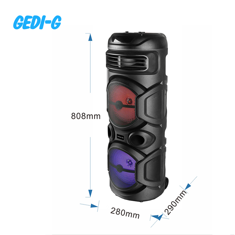 GEDI-G Double 12 INCH Bluetooth Speaker GD-8211 - GEDI-G