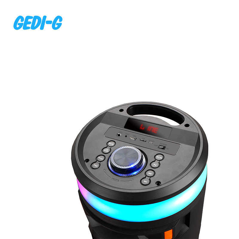GEDI-G GD-8210 Double 8INCH Bluetooth Speaker - GEDI-G