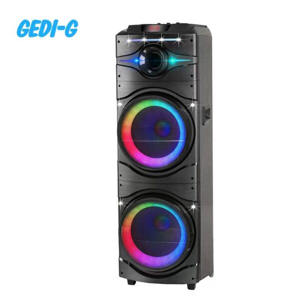 GEDI-G LT-2016 12inch* 2 Bluetooth Speaker - GEDI-G