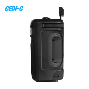 GEDI-G 12 inch Portable Speakers LT-1024
