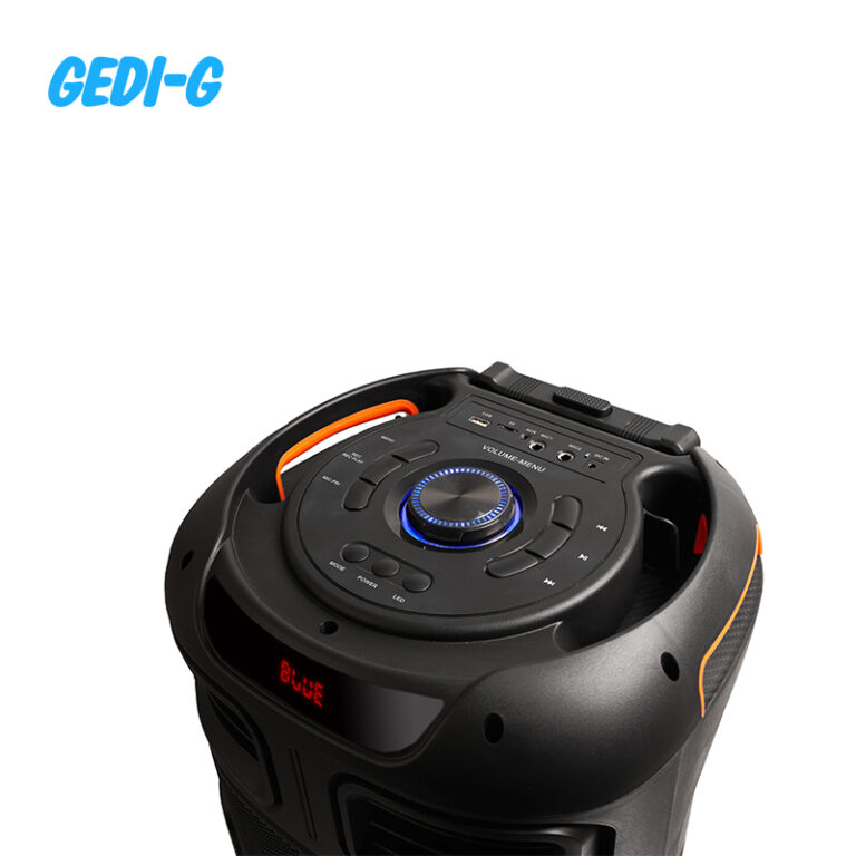 GEDI-G 8 inch Portable Speakers LT-1203